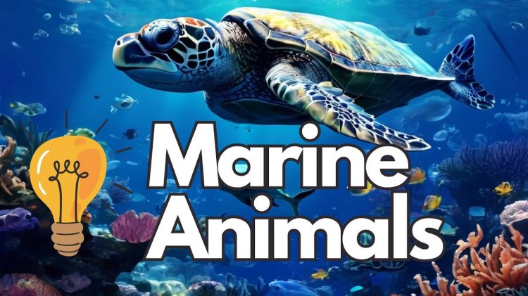 Can You Ace the Amazing Marine Animals Test? Dive In and Find Out ...